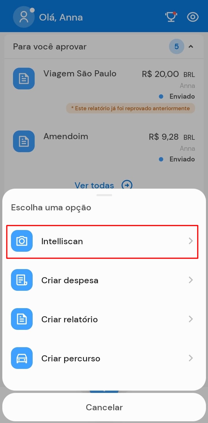 Intelliscan: O que é e como utilizar? – Central de Ajuda VExpenses